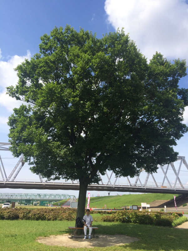 colors - Radiotalk(ラジオトーク)