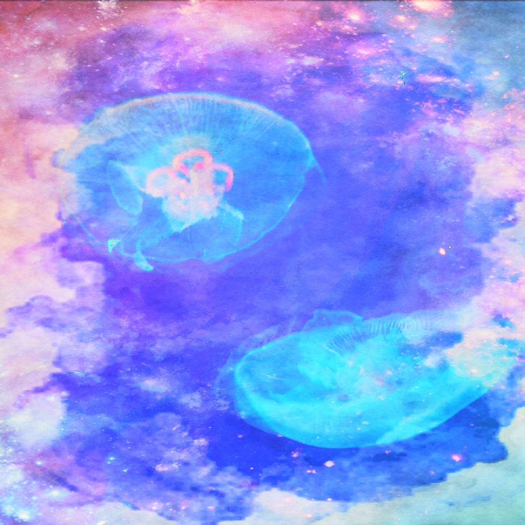 クラゲがしゃべります - Radiotalk(ラジオトーク)