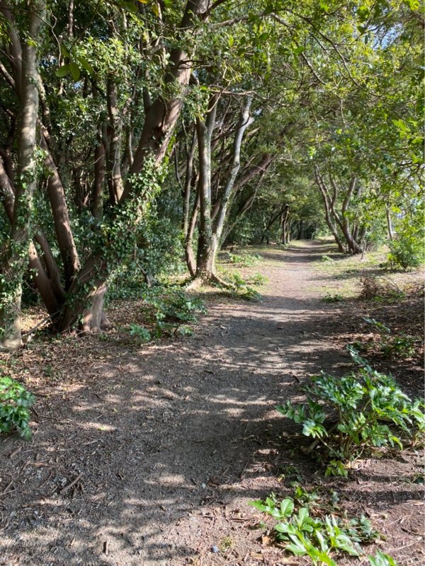 まな雪の番組 - Radiotalk(ラジオトーク)